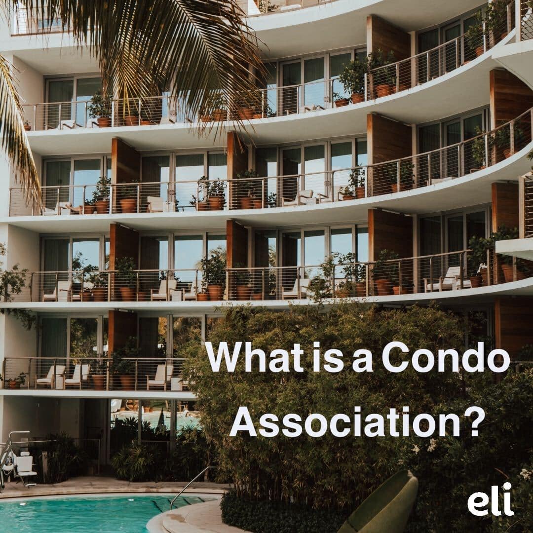 What Is A Condominium Association Eli Report What Is A Condominium Association Eli Report